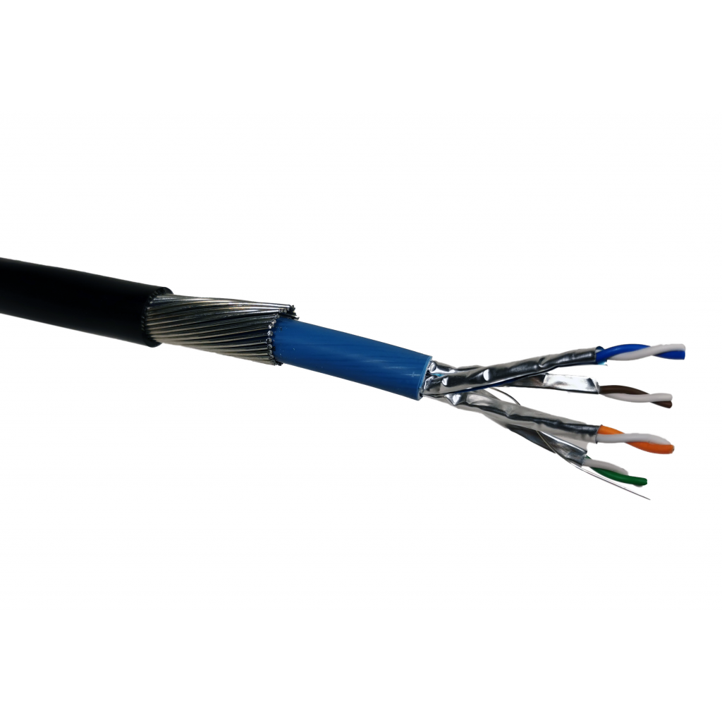 Cat 6 Ethernet Cable Armoured at Theresa Hanson blog