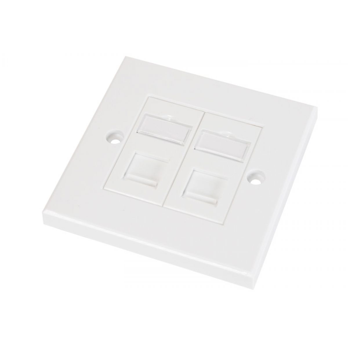 Ethernet Wall Socket | Cat5e RJ45 Loaded Faceplate | DCDI
