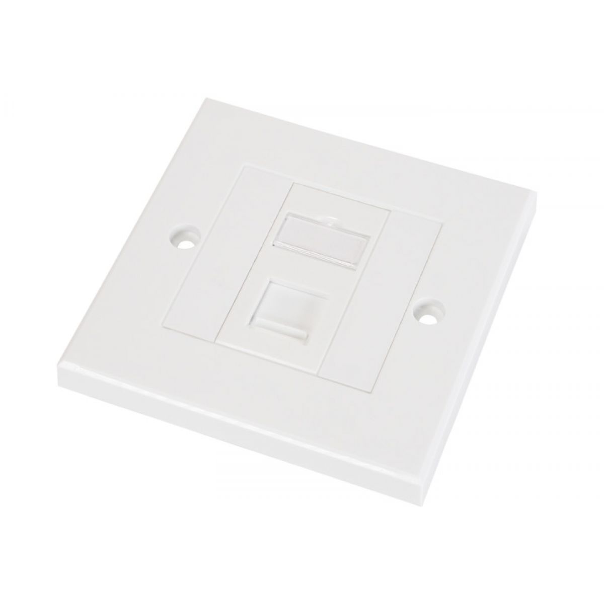 RJ45 Wall Socket | Category 6 Loaded Faceplate | DCDI