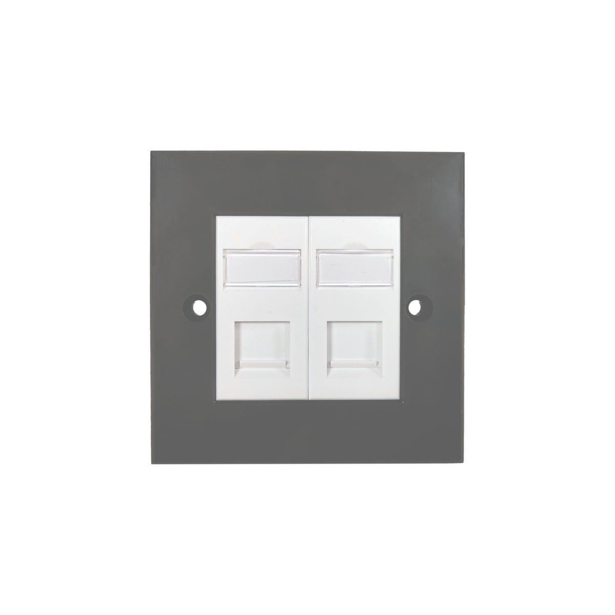 DDA Euro Mod RJ45 Faceplate | DCDI