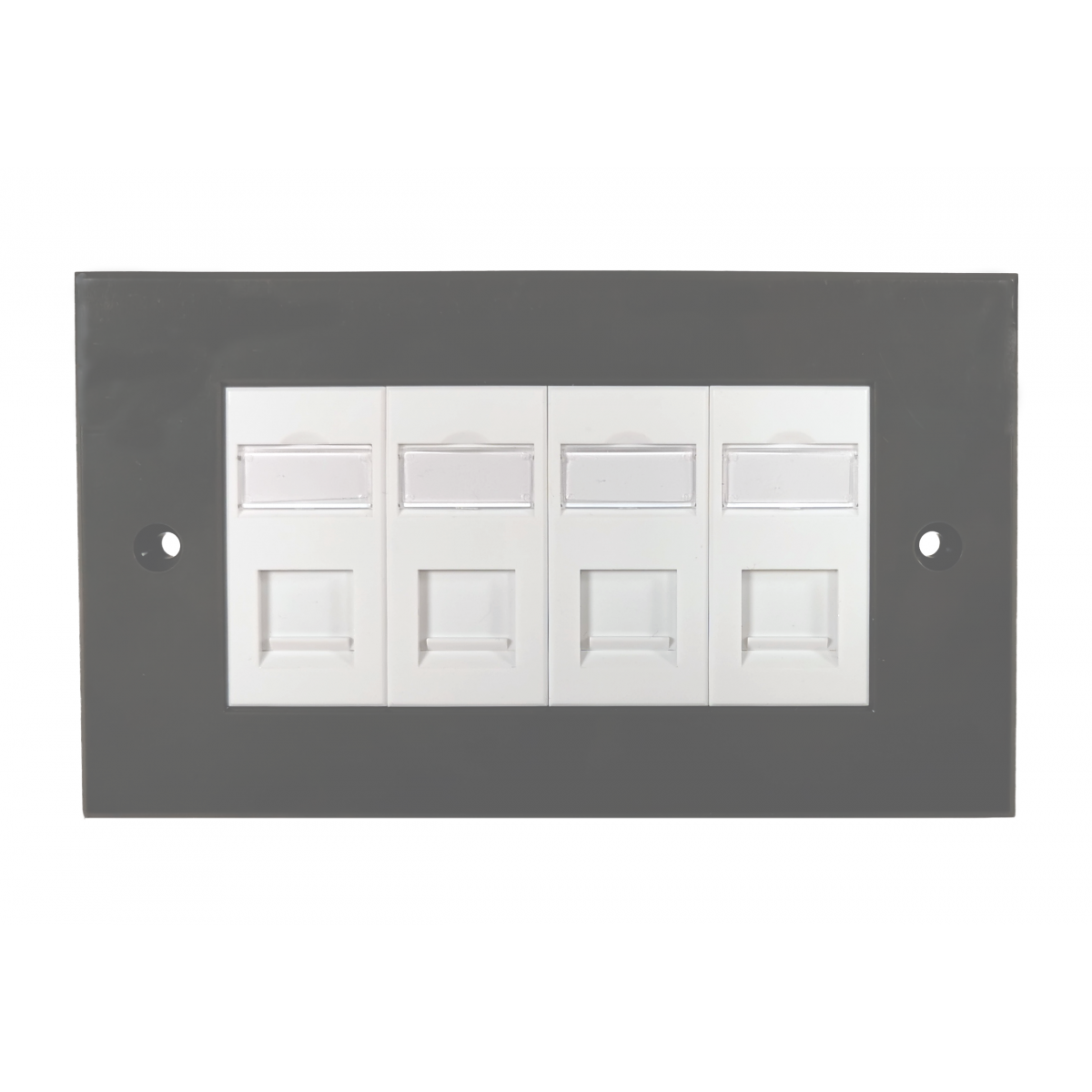 DDA Euro Mod RJ45 Faceplate | DCDI